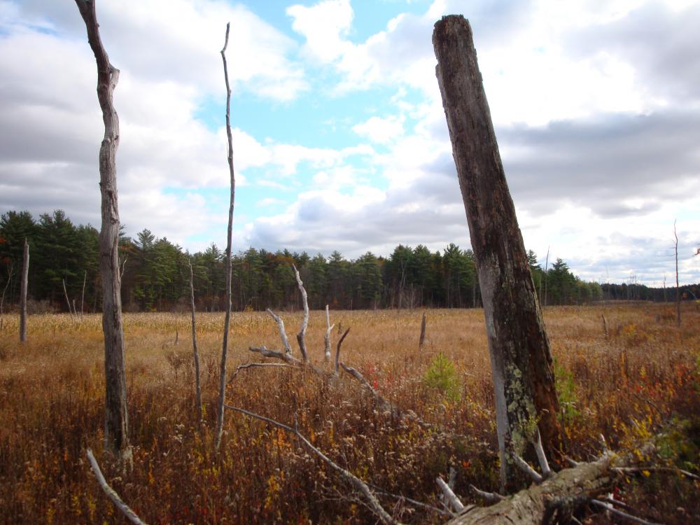 Conservation Commission | Town of Exeter New Hampshire Official Website