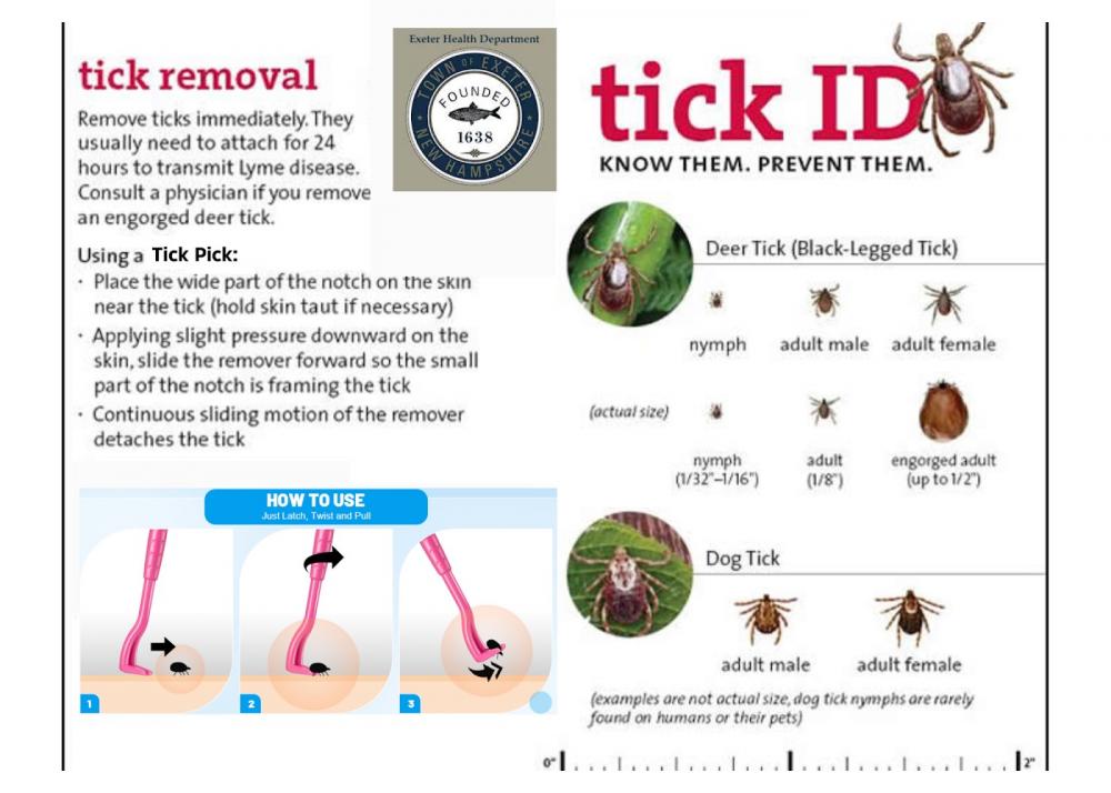 tick bite leaflet